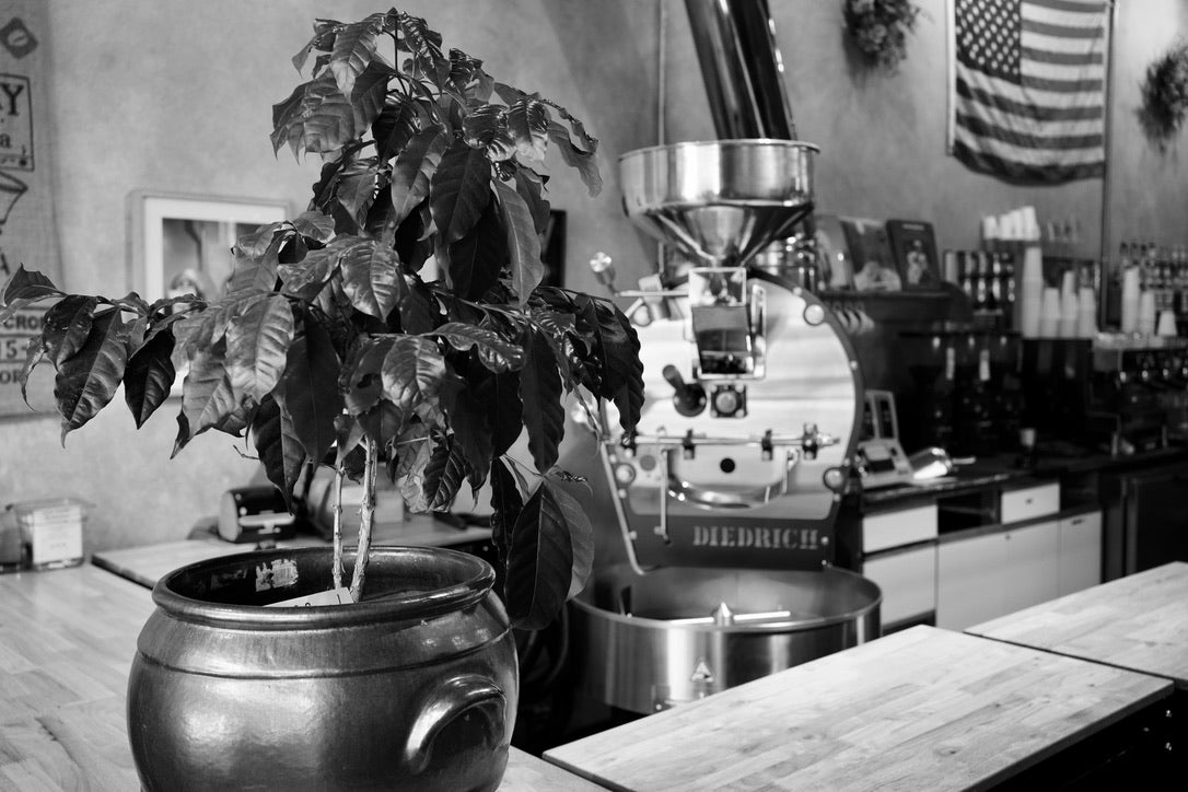 Subscription - Roaster's Choice – The Conservatory for Coffee, Tea & Cocoa